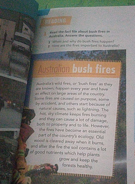 Read the fact file about bush fires in | StudyX