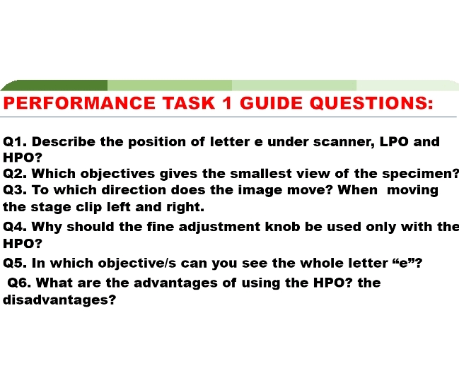 PERFORMANCE TASK 1 GUIDE QUESTIONS Q1 | StudyX
